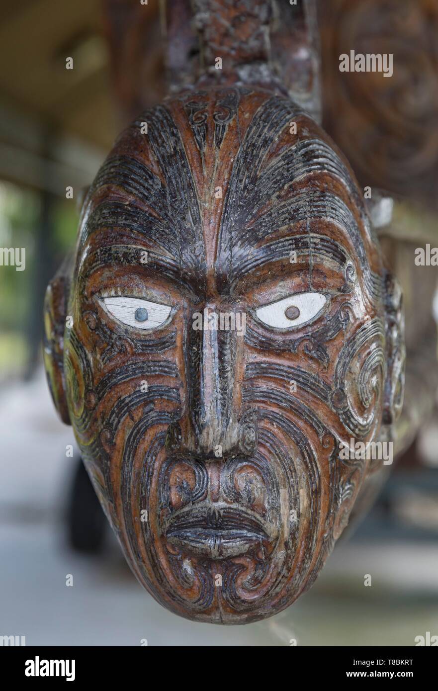 Statue maori Banque de photographies et d’images à haute résolution - Alamy