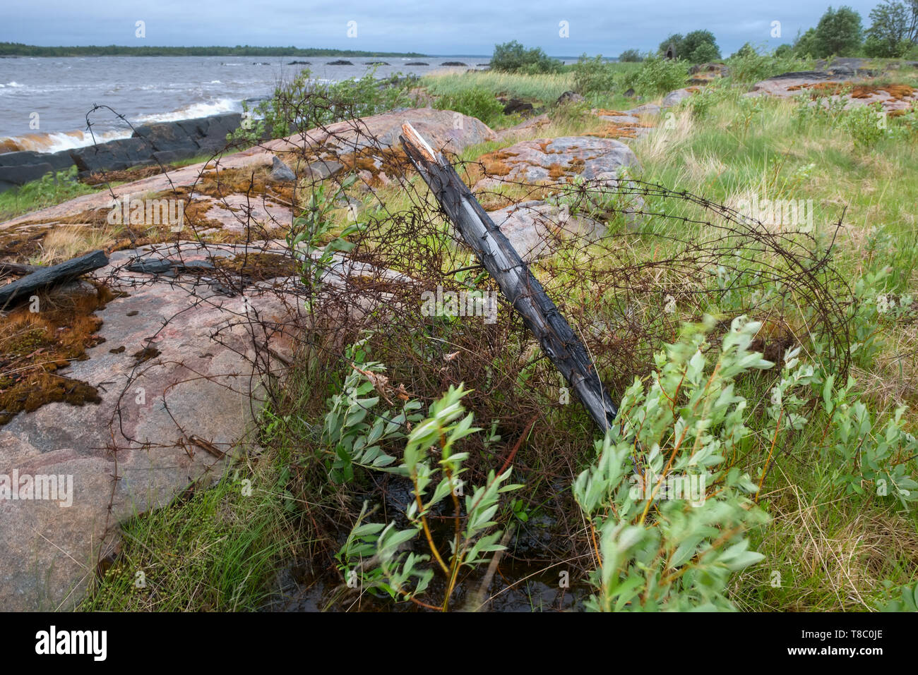 Vieux barbelés rouillés à l'emplacement d'un camp de concentration SLON ...