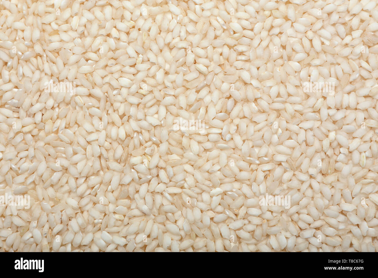 Grain court Banque de photographies et d’images à haute résolution - Alamy