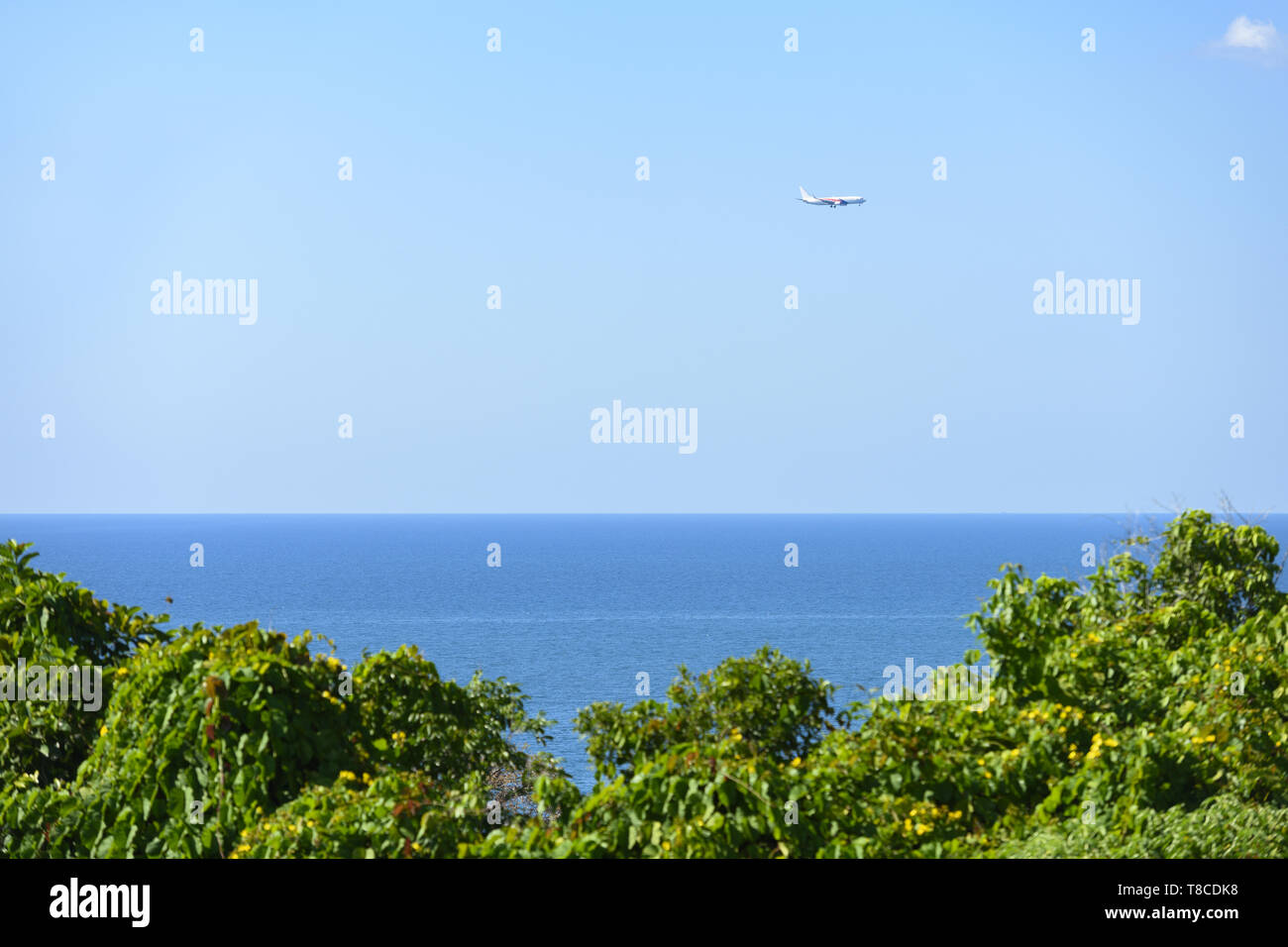 Avion survolant la forêt Banque de photographies et d’images à haute ...