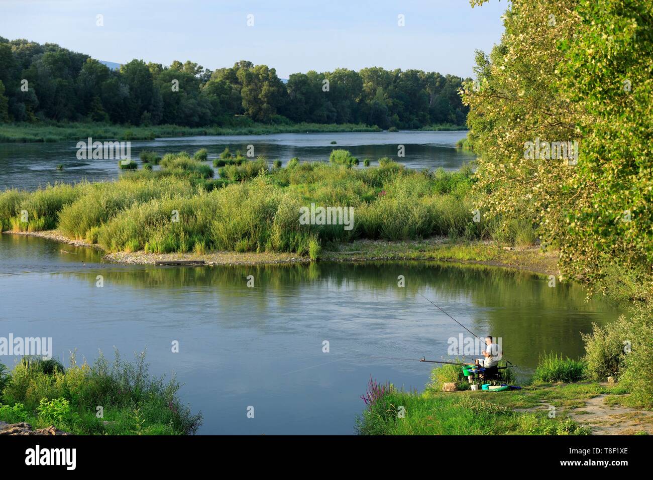 Le pouzin Banque de photographies et d’images à haute résolution - Alamy
