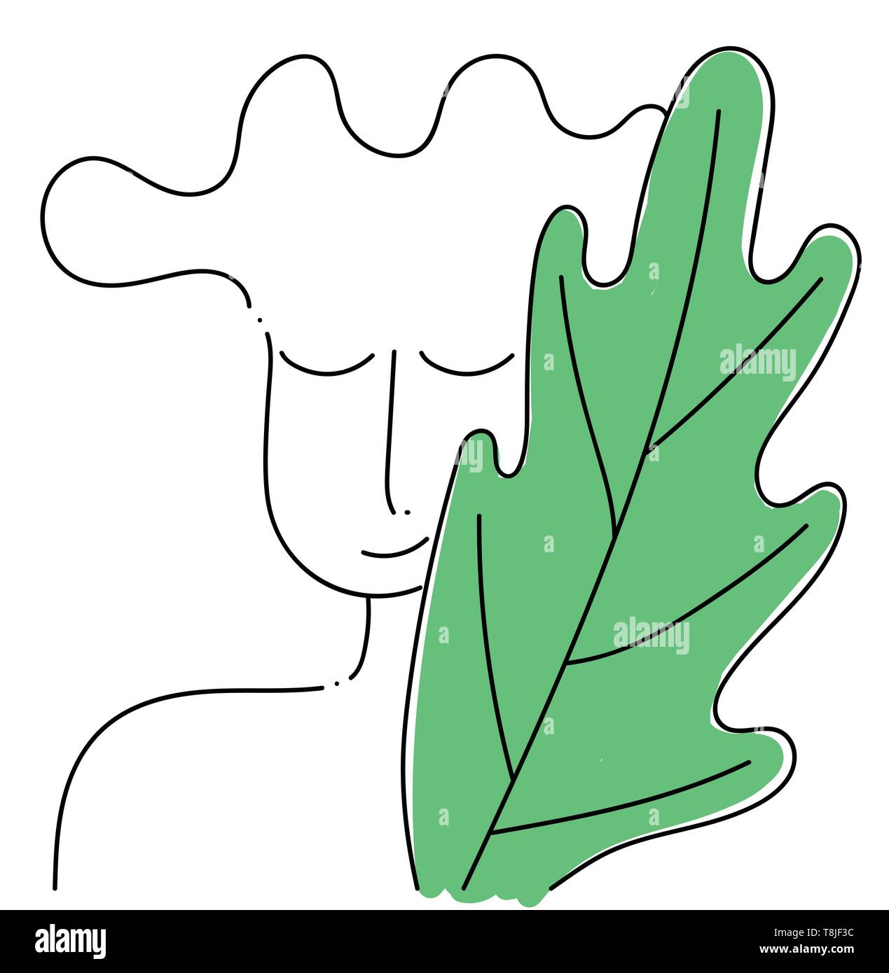 Feuille de nez Banque d'images vectorielles - Alamy