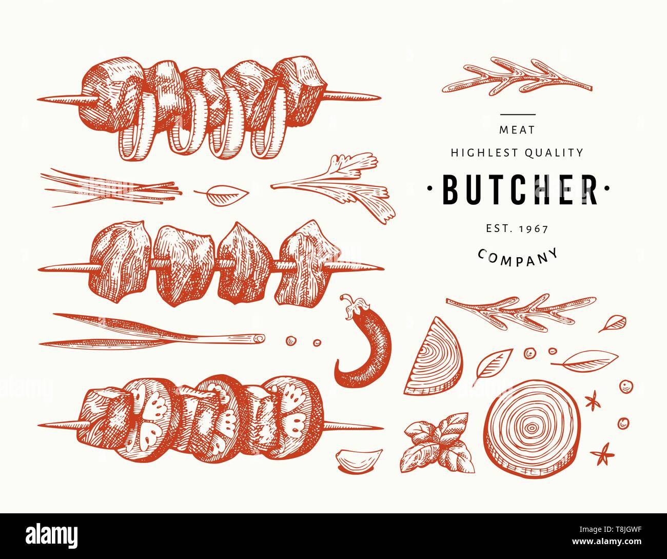 Vector Retro illustration de la viande. Hand drawn shish kebabs, épices ...