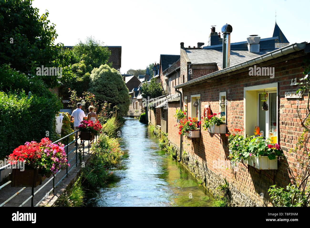 France, Seine Maritime, Pays de Caux, Cote d'Albatre (Côte d'Albâtre, Veules les Roses), Les ...