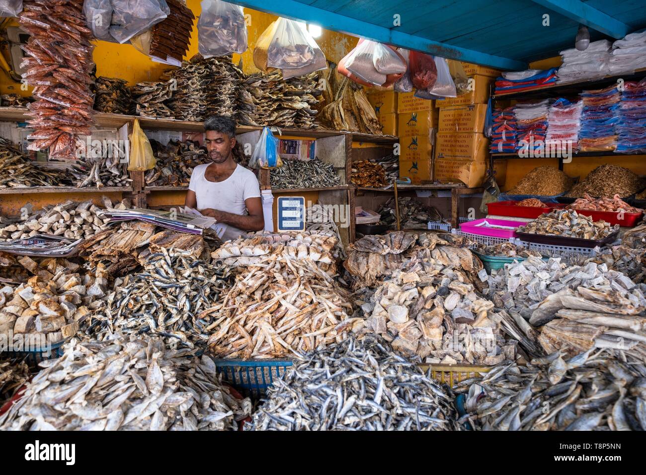 La poissonnerie Banque de photographies et d’images à haute résolution ...