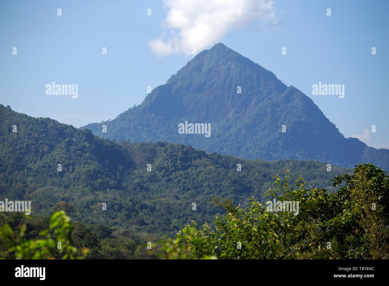 Anak kinabalu Banque de photographies et d’images à haute résolution ...