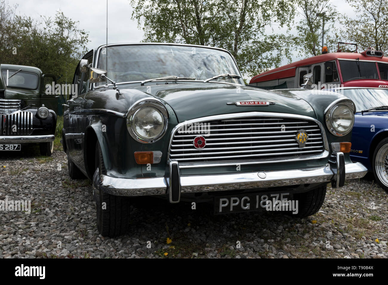 Humber hawk Banque de photographies et d’images à haute résolution - Alamy