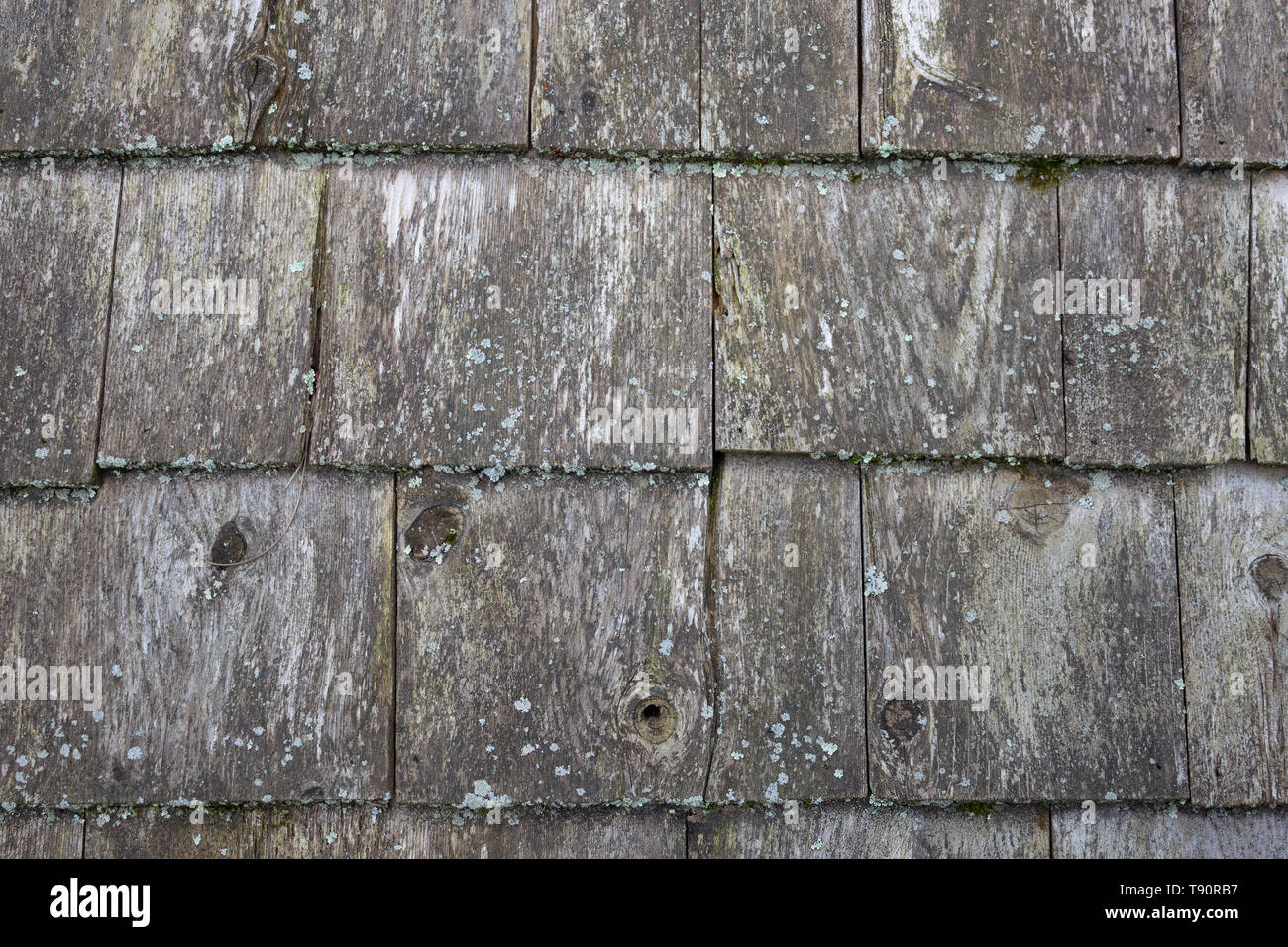 Shingles texture Banque de photographies et d’images à haute résolution ...