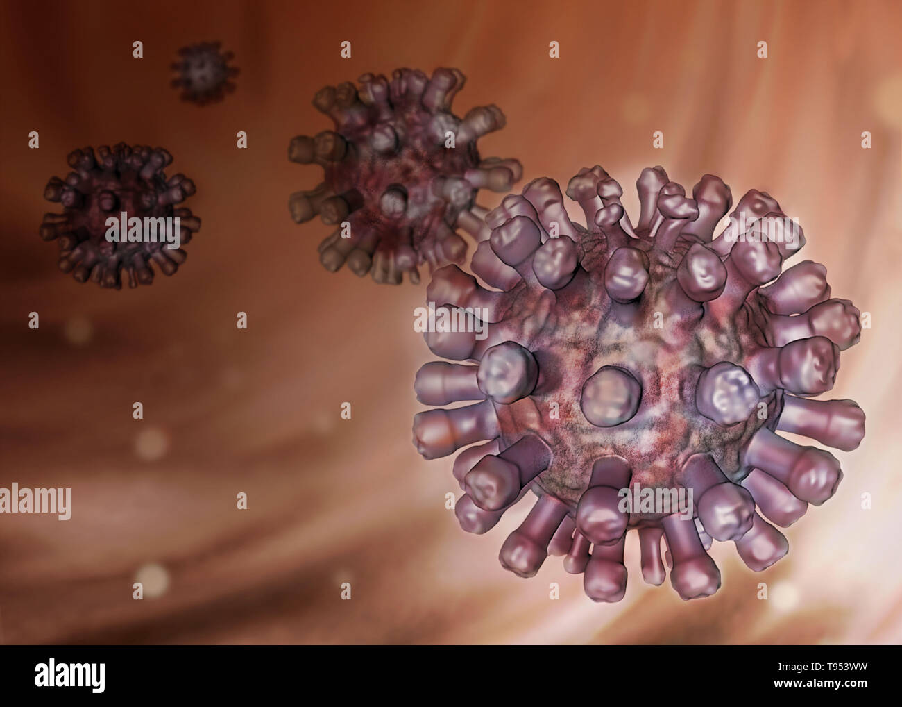 Rubella virus Banque de photographies et d’images à haute résolution ...