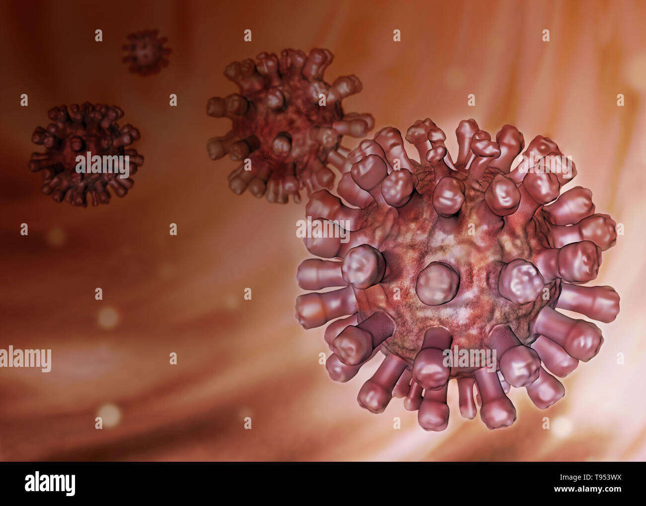 Virus de la rubéole Banque de photographies et d’images à haute ...