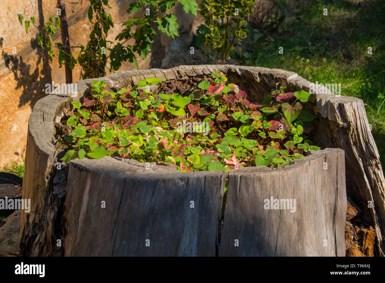 Trésor de panagyurishte Banque de photographies et d’images à haute ...