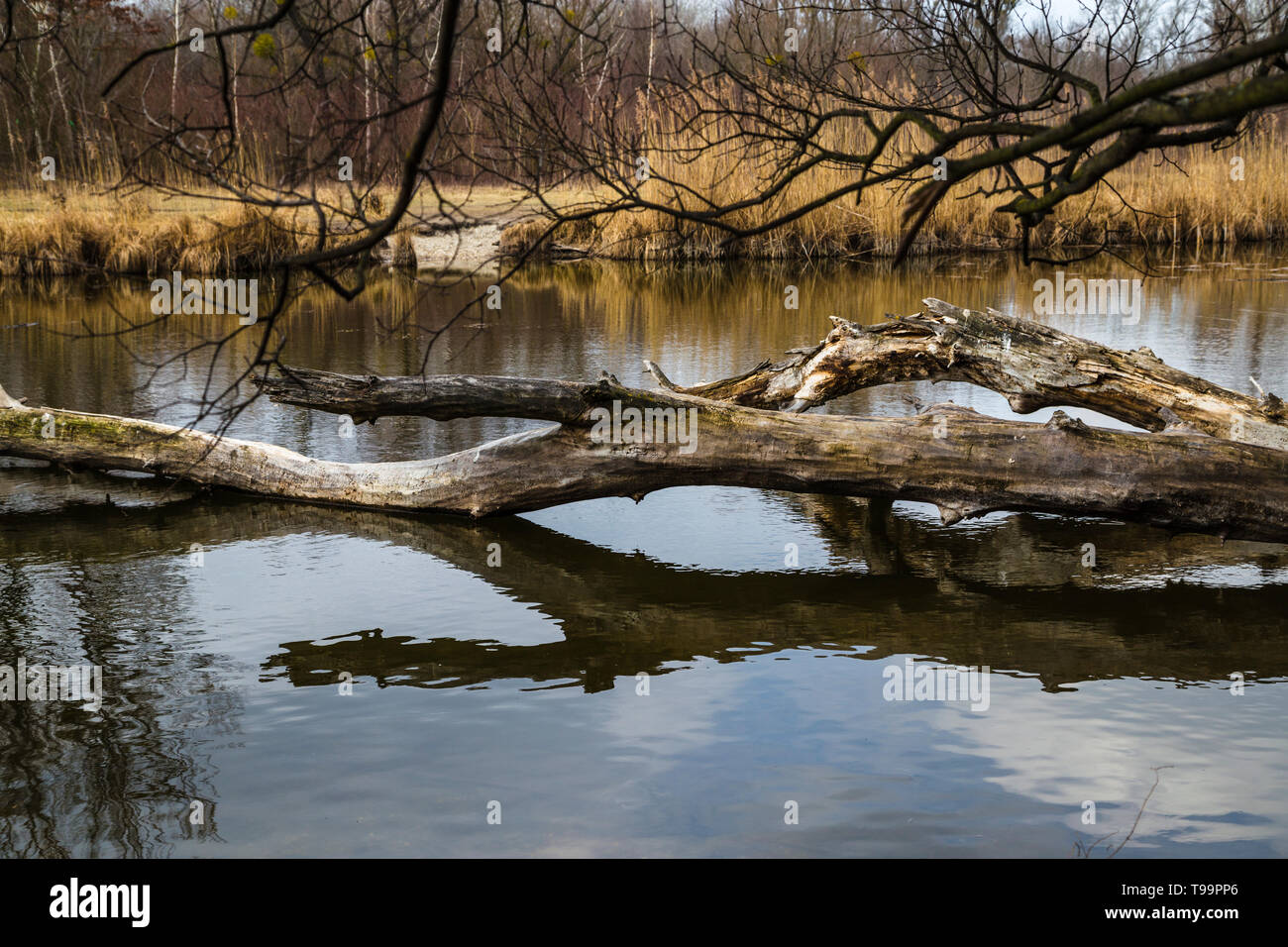 Paysage de la plaine inondable Banque de photographies et d’images à ...