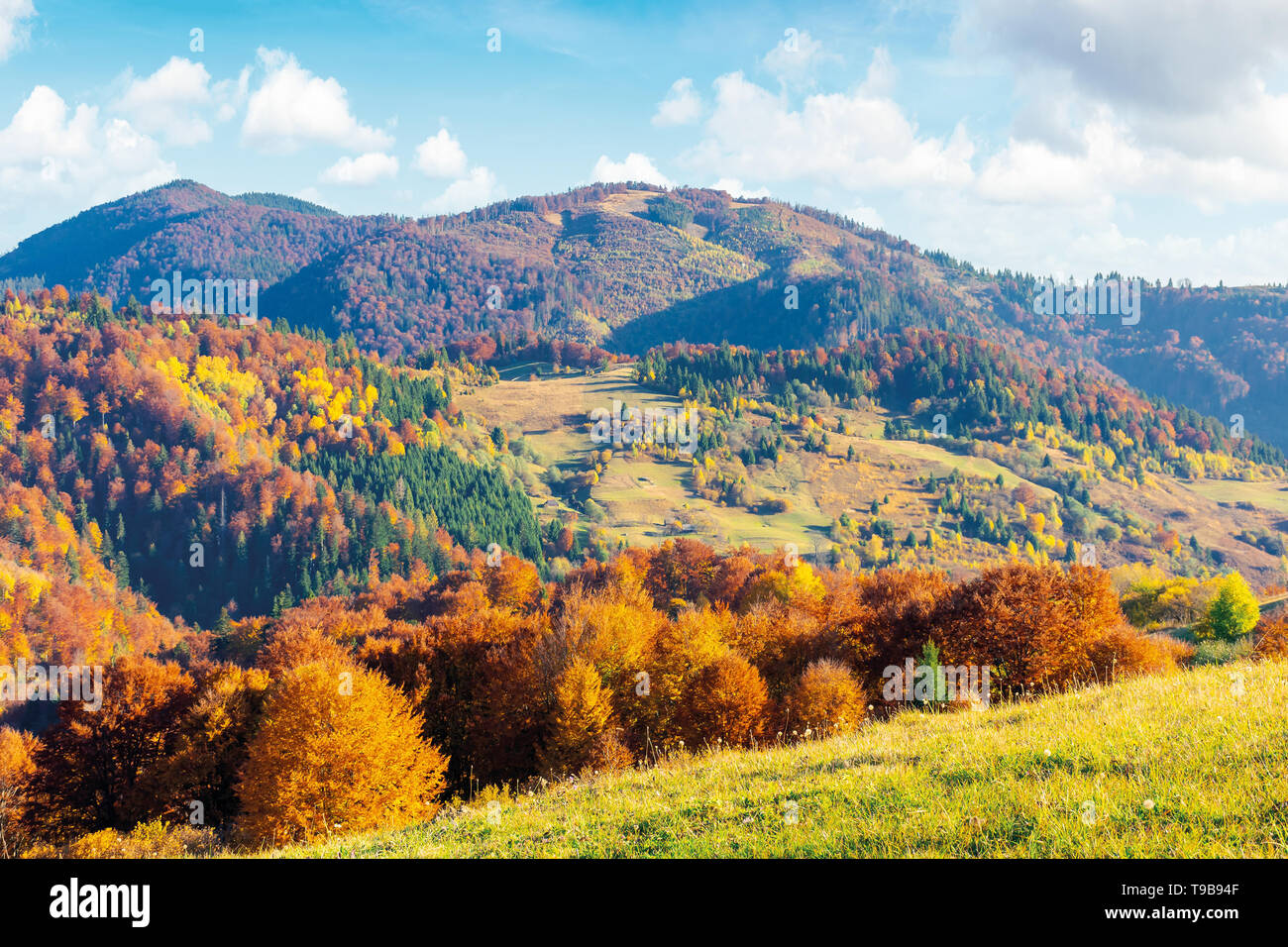 Montagne Et Arbres Banque d'image et photos - Alamy