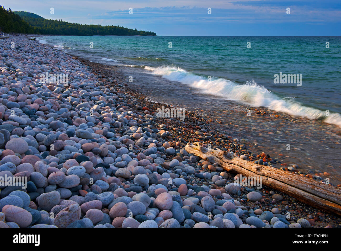 Pierres et bois flotté sur une plage de galets. Le lac Supérieur ...