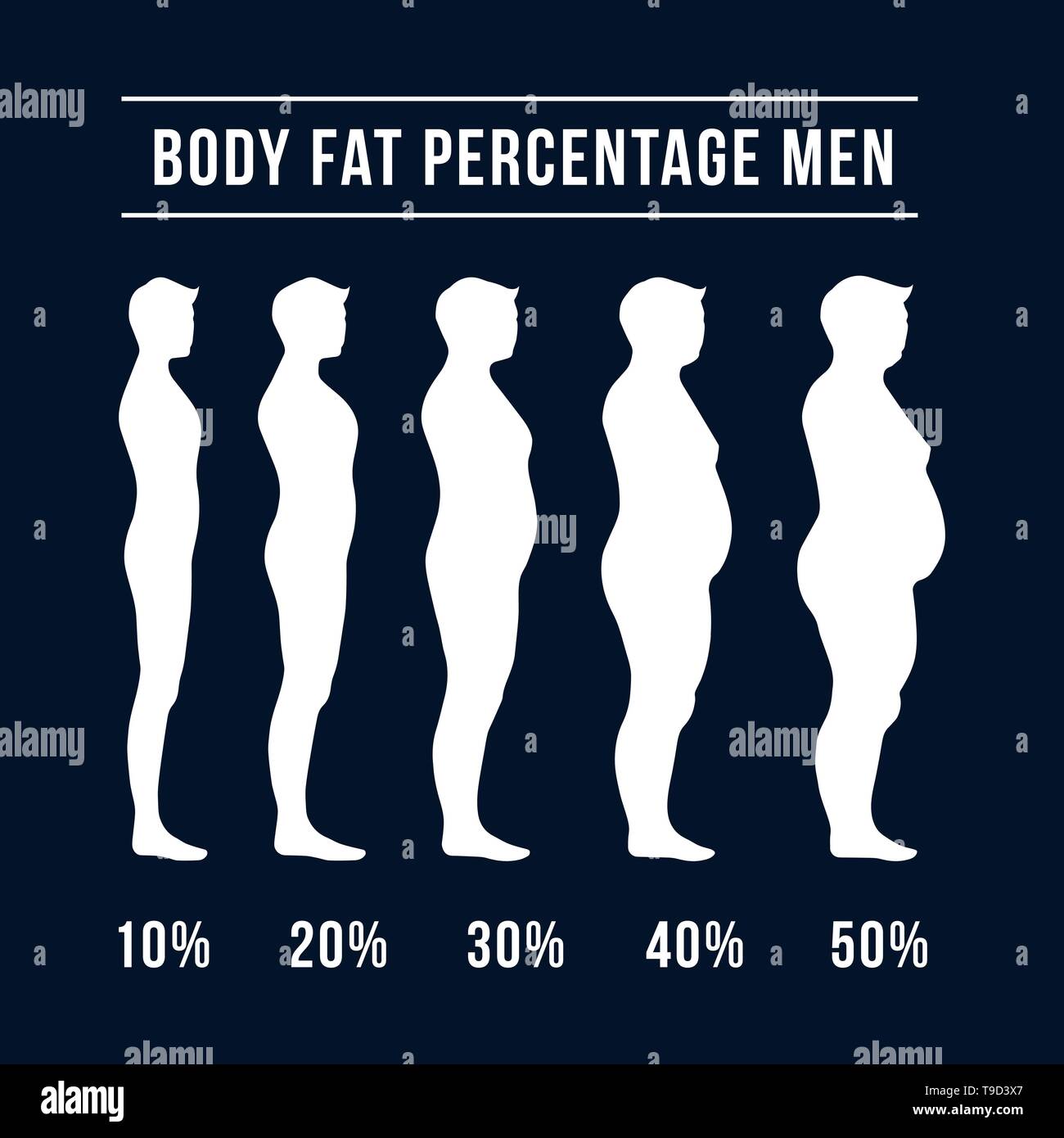 Body fat percentage Banque d'images vectorielles - Alamy