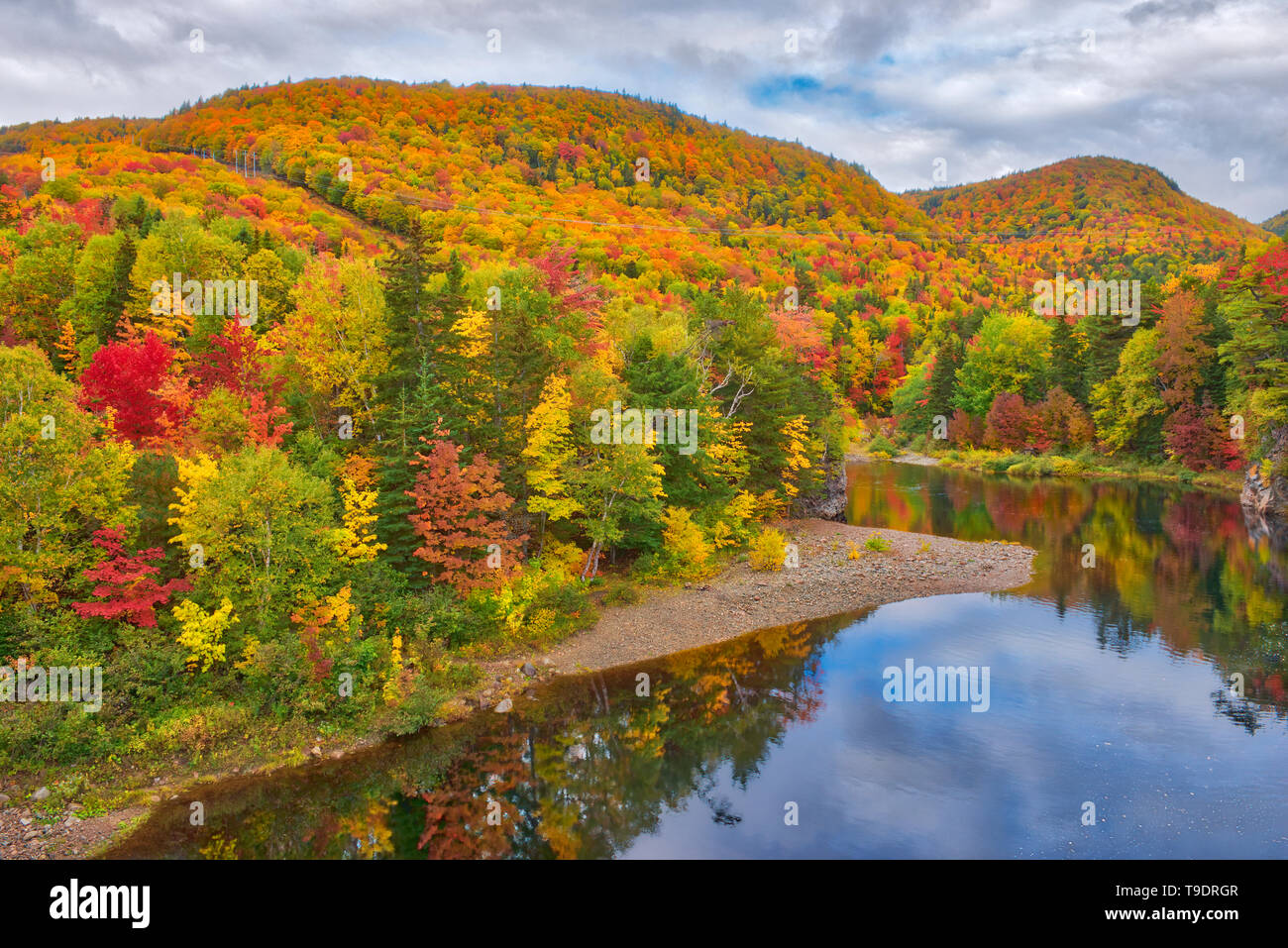 Forêt En Automne Banque d'image et photos - Alamy