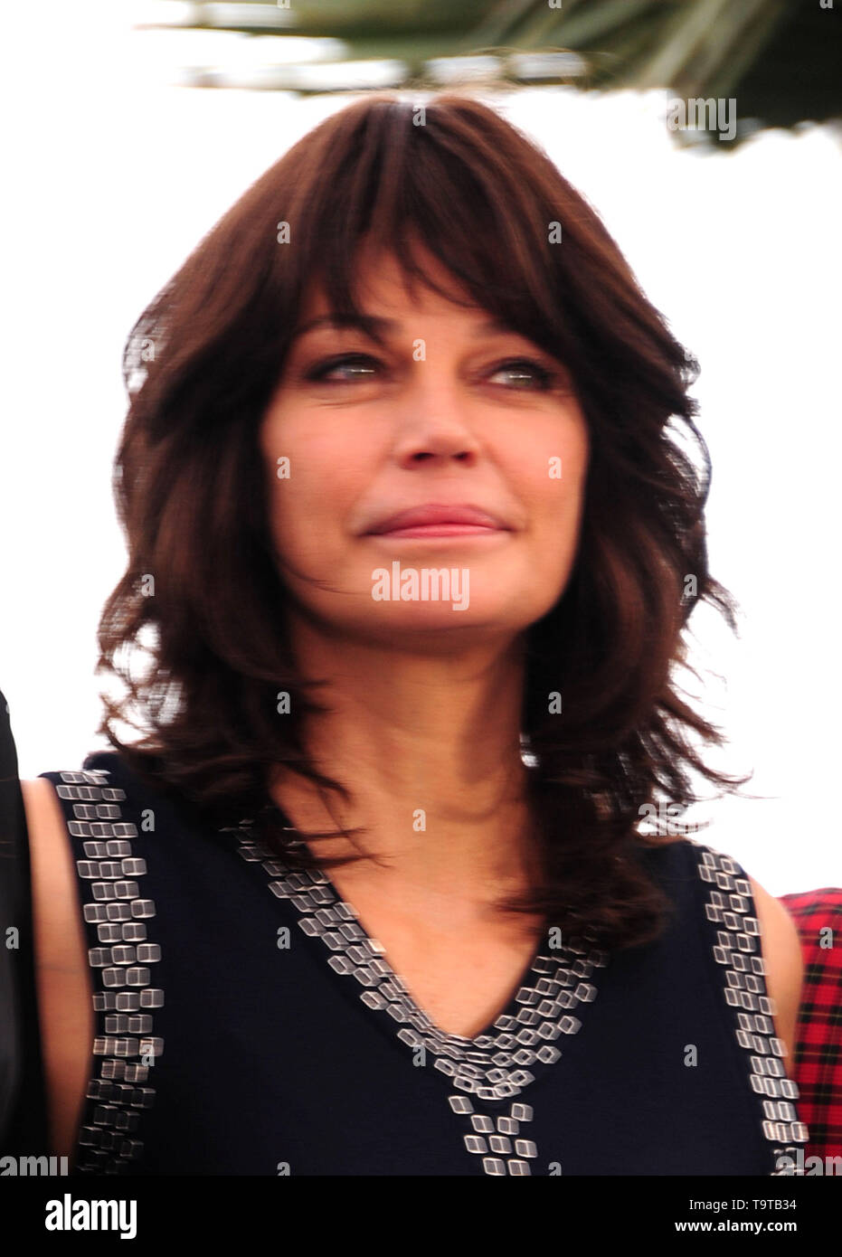 Festival de Cannes le 19 mai lors d'un Photocall Marianne Denicourt ...