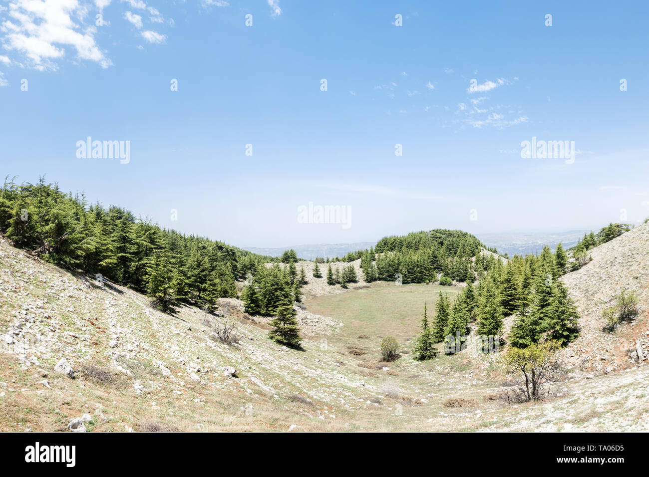 Barouk reserve forest Banque de photographies et d’images à haute ...