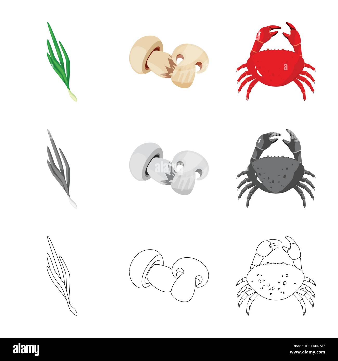 Conception vectorielle du goût et symbole du produit. Collection de ...