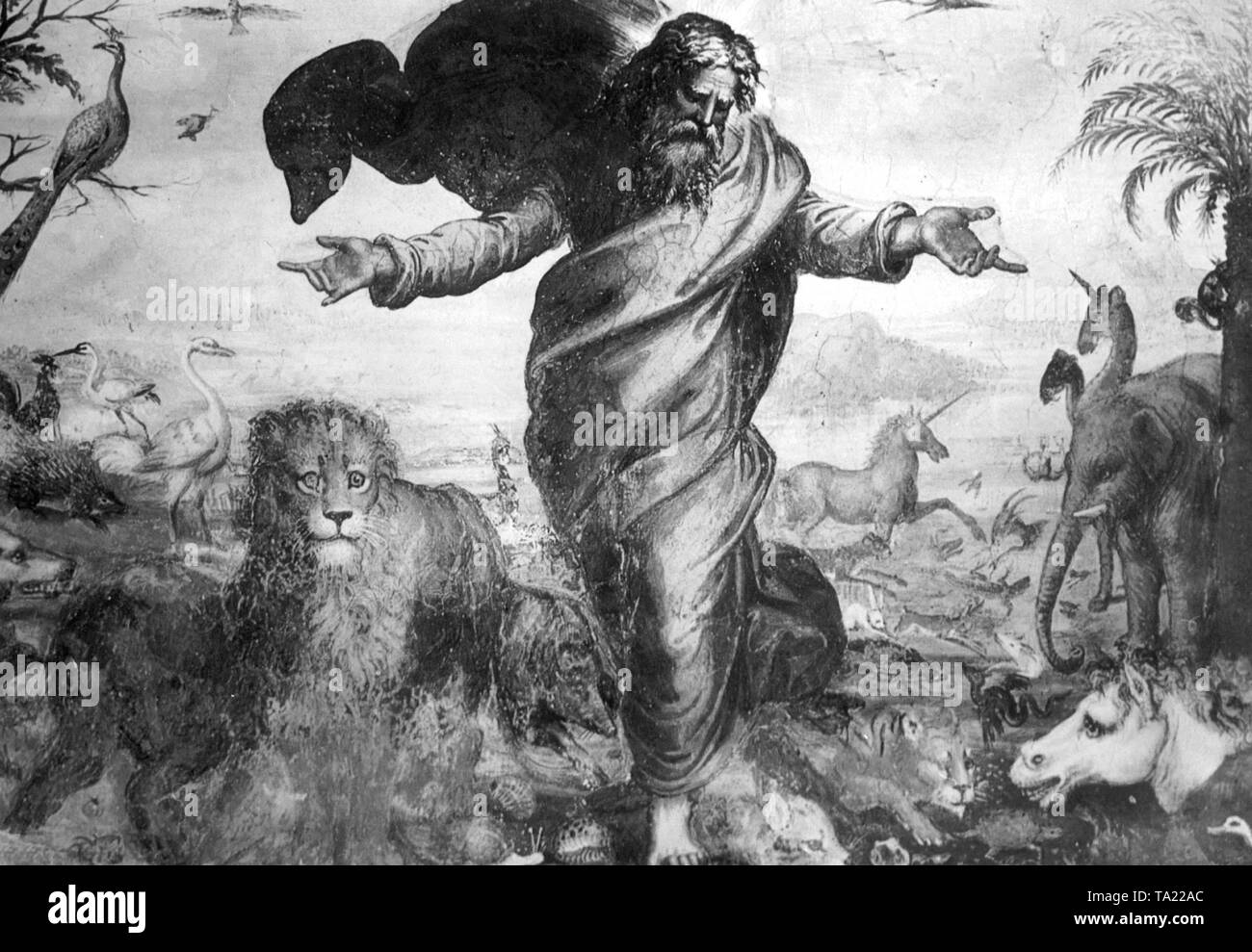 Creation Of The Animals Bible Banque d'image et photos - Alamy