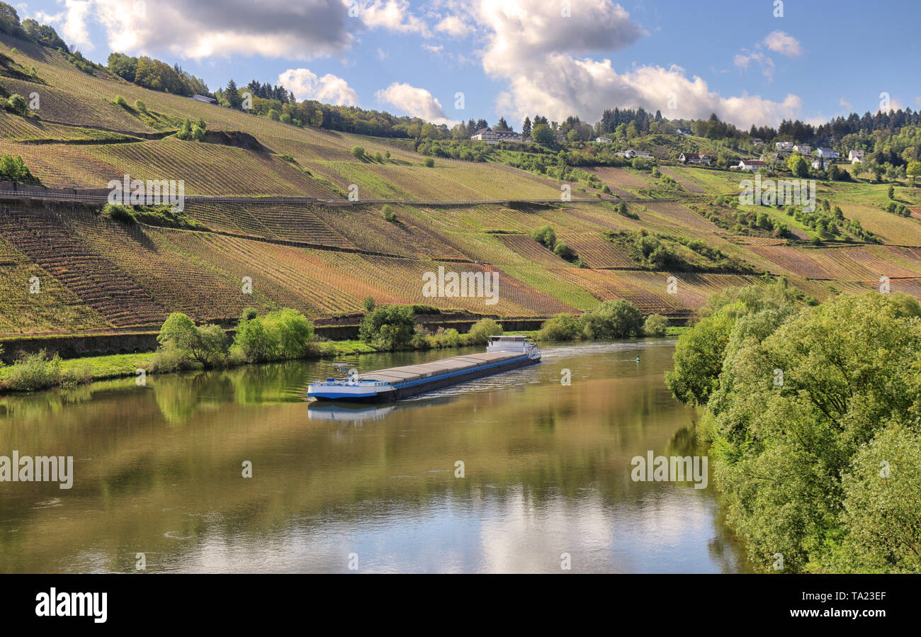 La Moselle en Allemagne Vue du village de Soye avec flancs couverts de ...