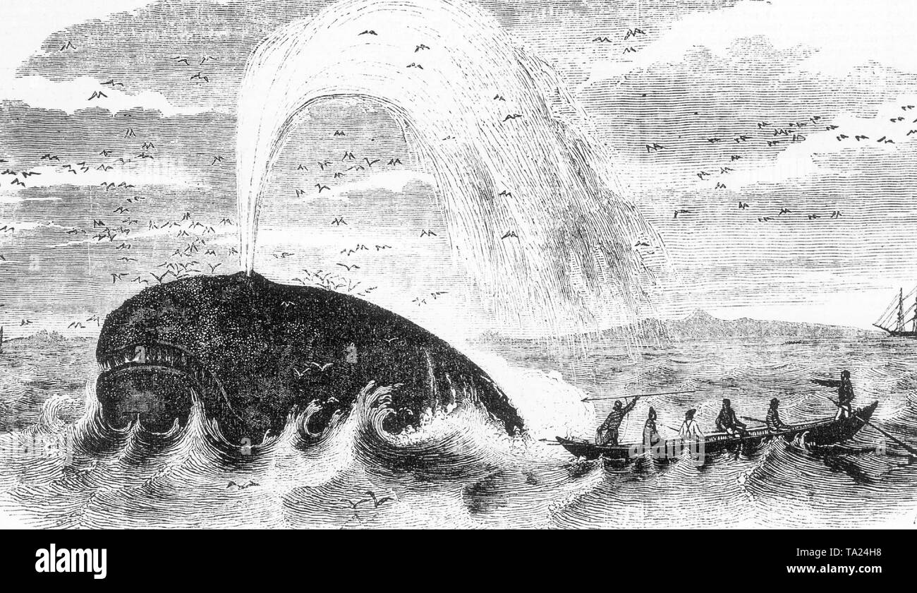 Harpoon 19th century Banque de photographies et d’images à haute ...