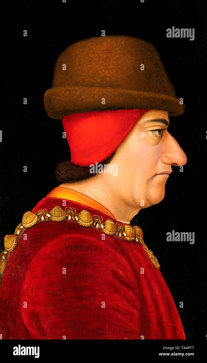Portrait de profil de Louis XI, Roi de France (1423-1483), portant le ...