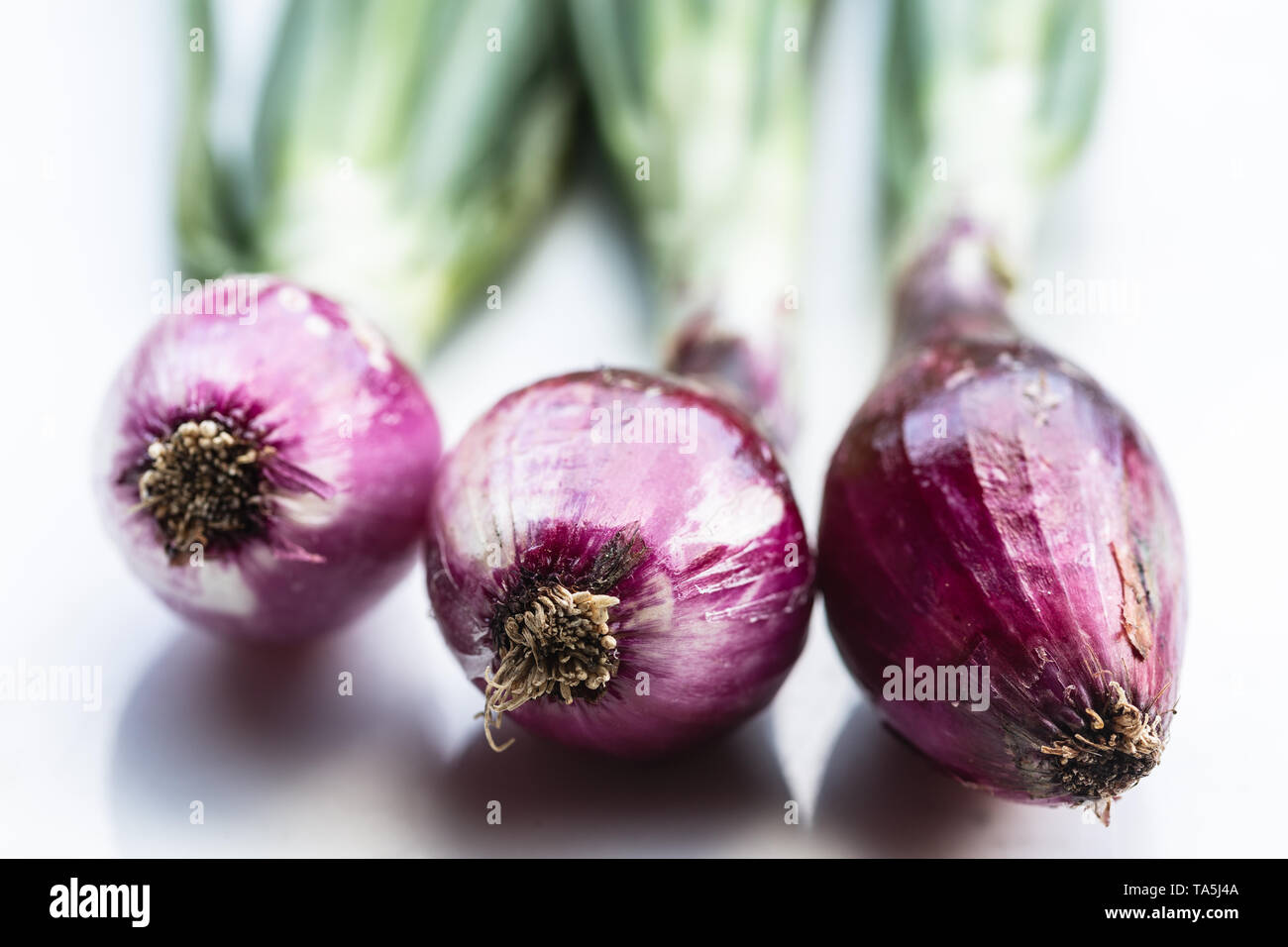 Oignons rouges calabre Banque de photographies et d’images à haute ...