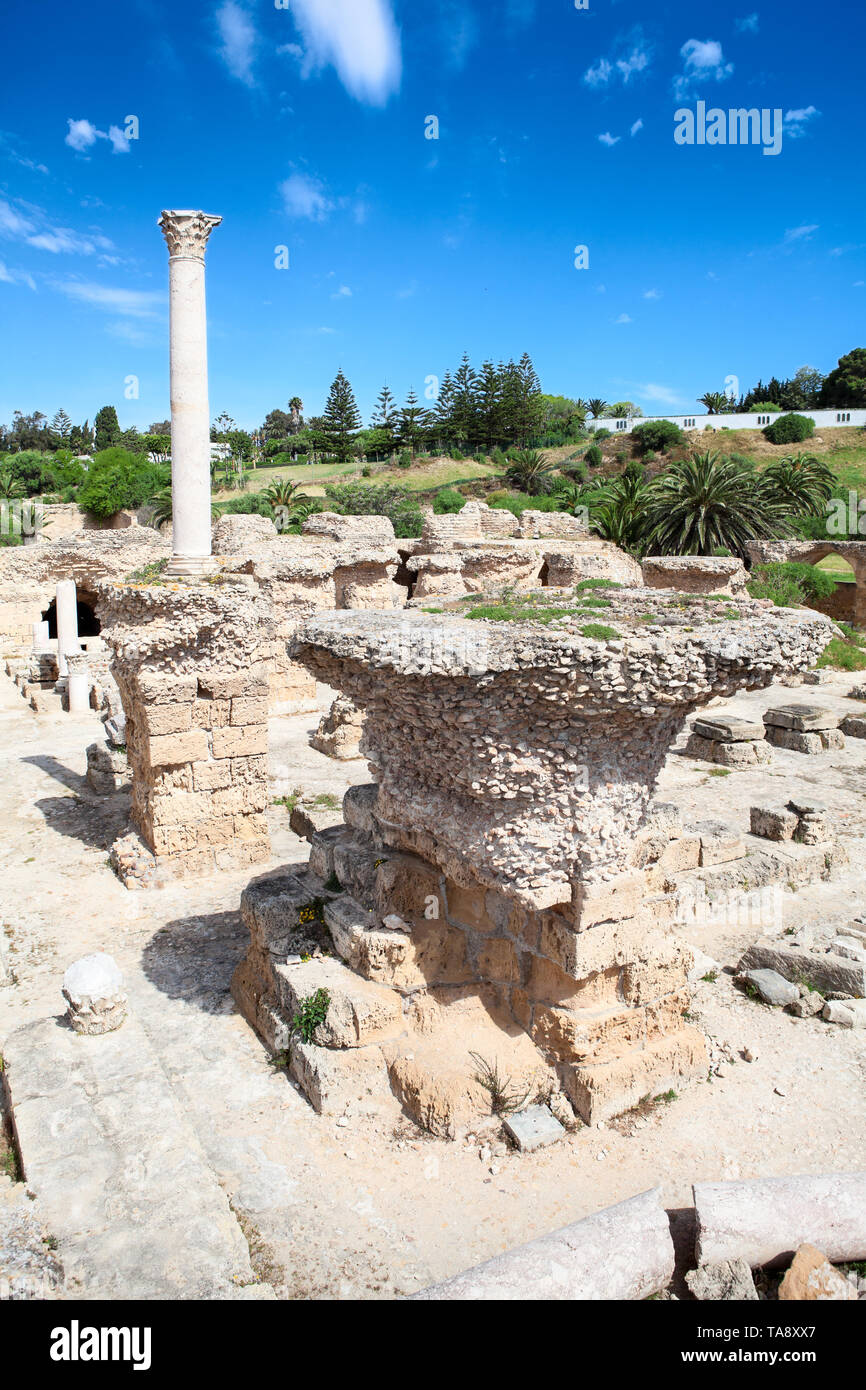 La cathédrale saint louis de carthage Banque de photographies et d ...