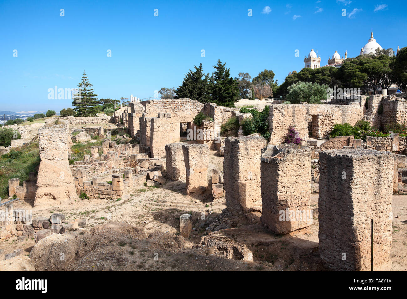 Acropolium carthage architecture cathedral Banque de photographies et d ...