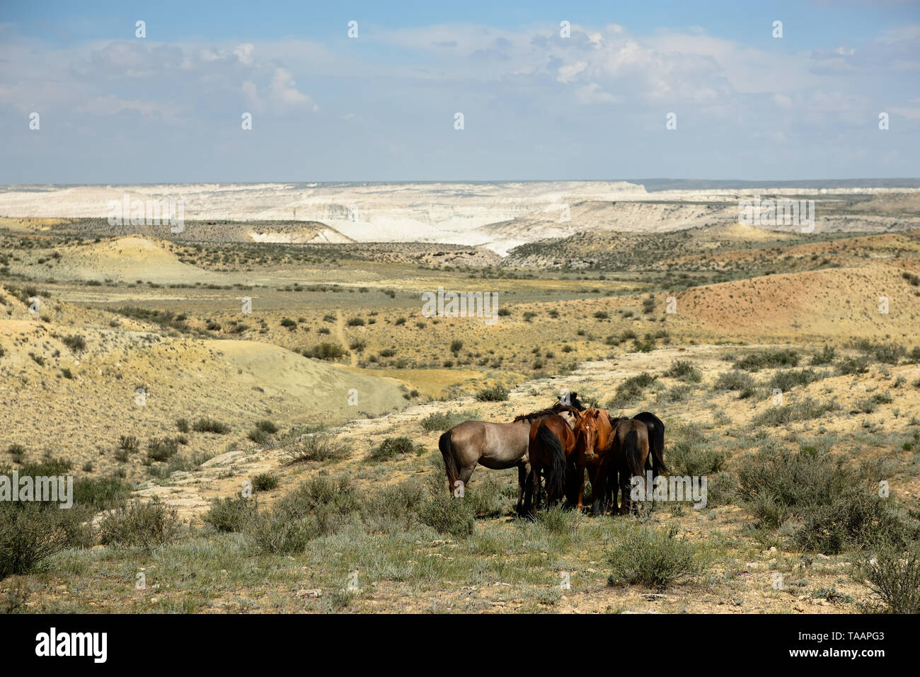 Paysages de steppe Banque de photographies et d’images à haute ...