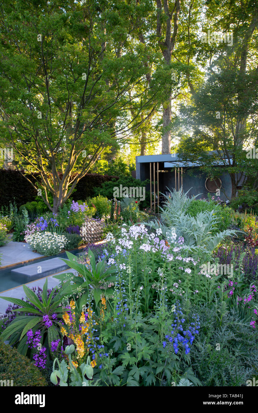 Verbascum clementine Banque de photographies et d’images à haute ...