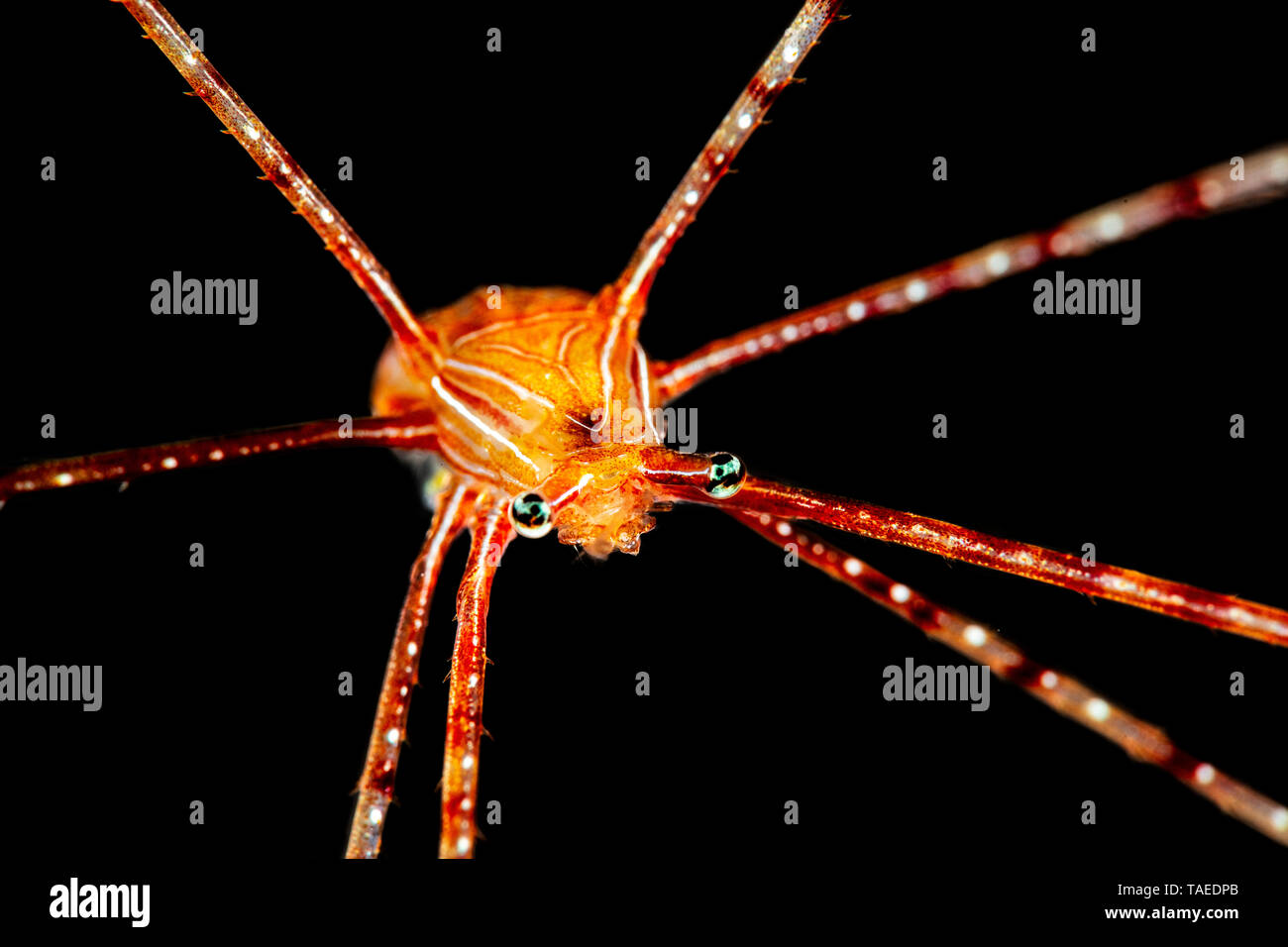 Map Mayotte Banque d'image et photos - Alamy