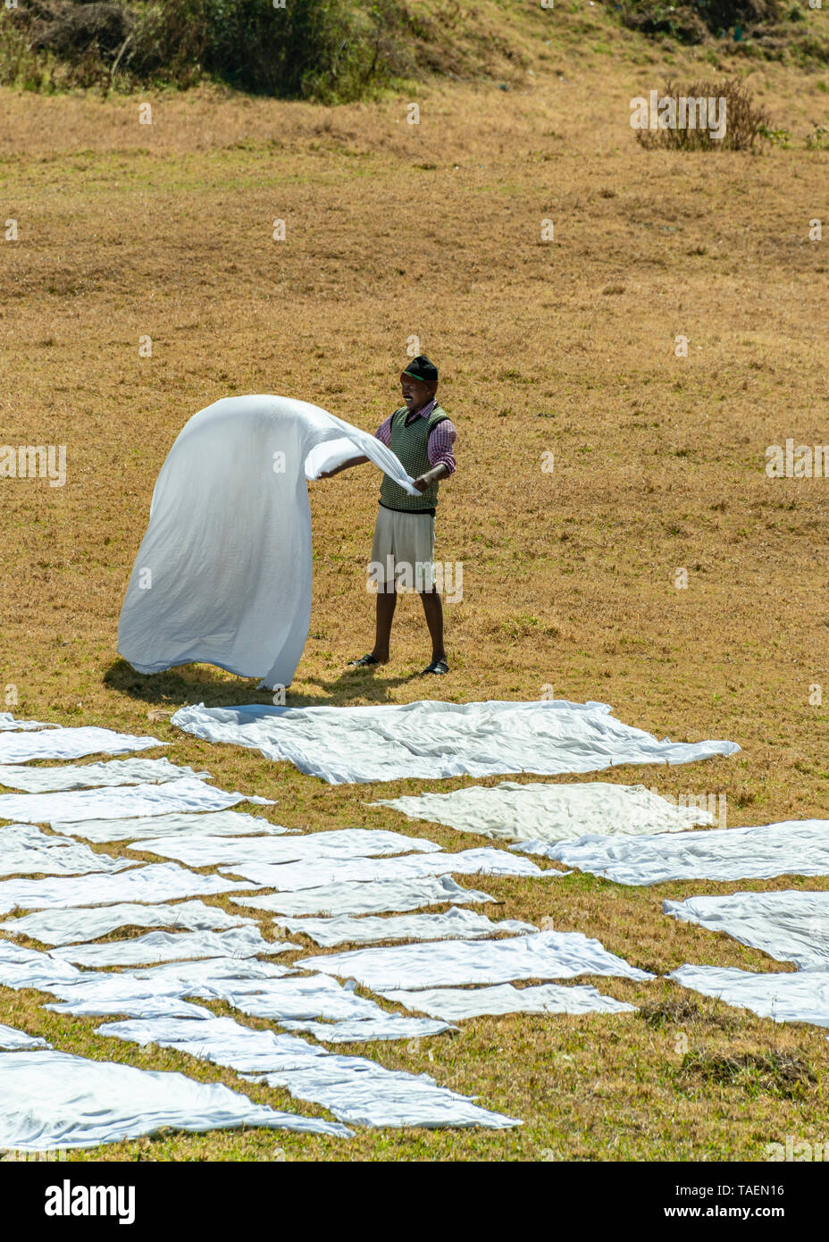 Dhobi wallah Banque de photographies et d’images à haute résolution - Alamy