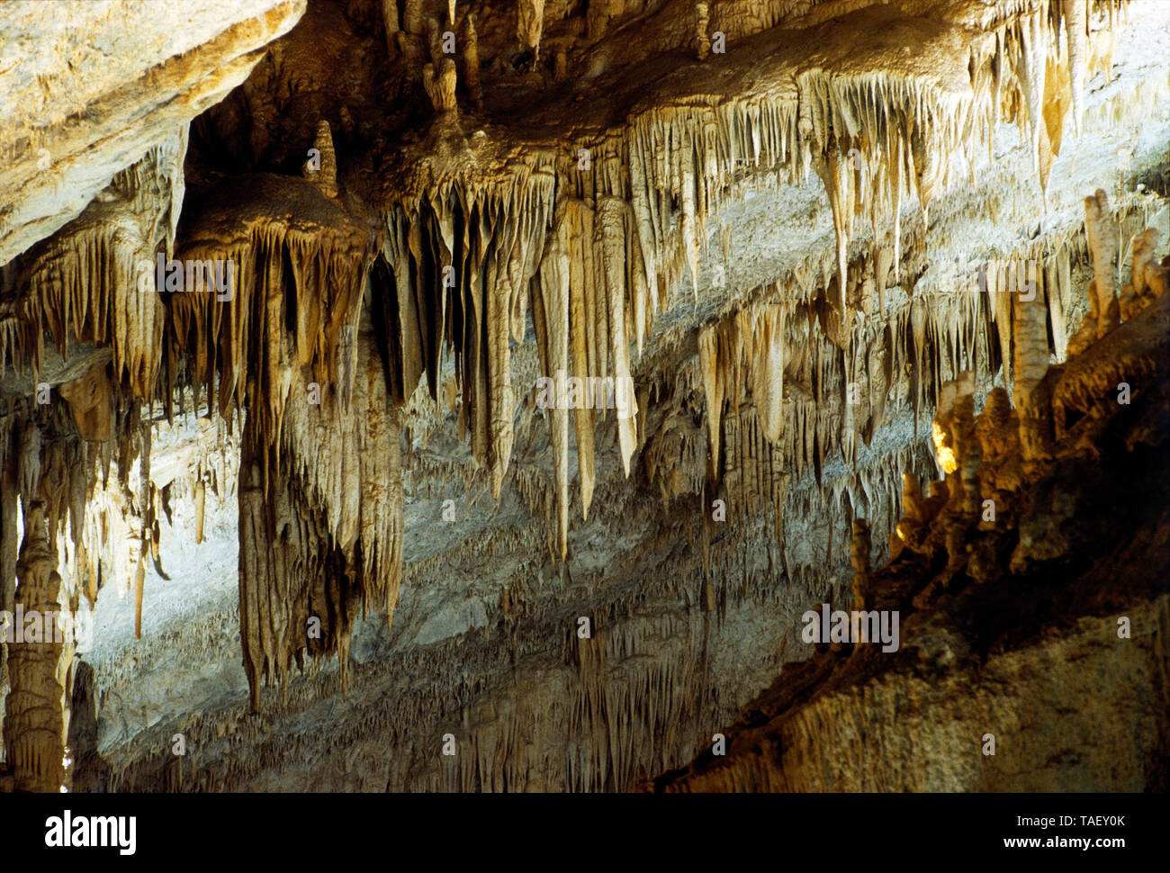 Jeita grotto Banque de photographies et d’images à haute résolution - Alamy