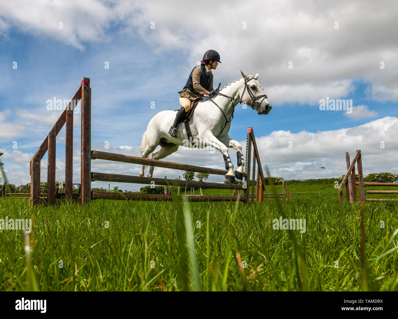 Credit agricole Banque de photographies et d’images à haute résolution ...