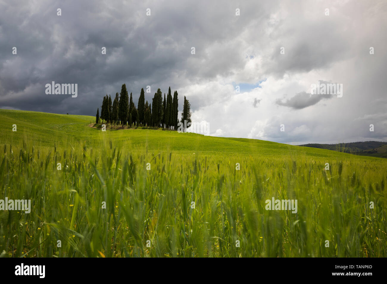 Ciel gris Banque de photographies et d’images à haute résolution - Alamy