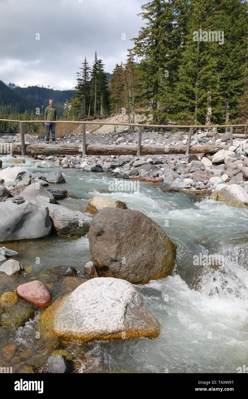 Cascades du parc national du mont rainier Banque de photographies et d ...