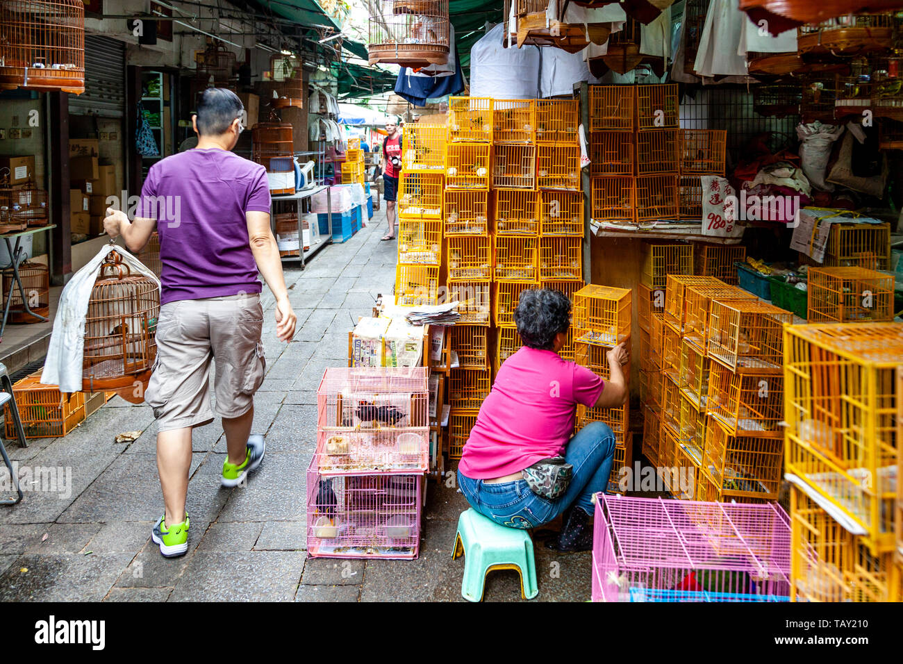 Yuen po bird garden Banque de photographies et d’images à haute ...