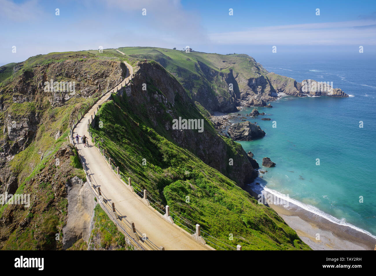 Little sark Banque de photographies et d’images à haute résolution - Alamy