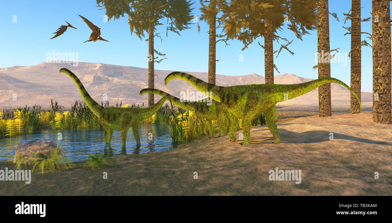 Puertasaurus reuili Banque de photographies et d’images à haute ...