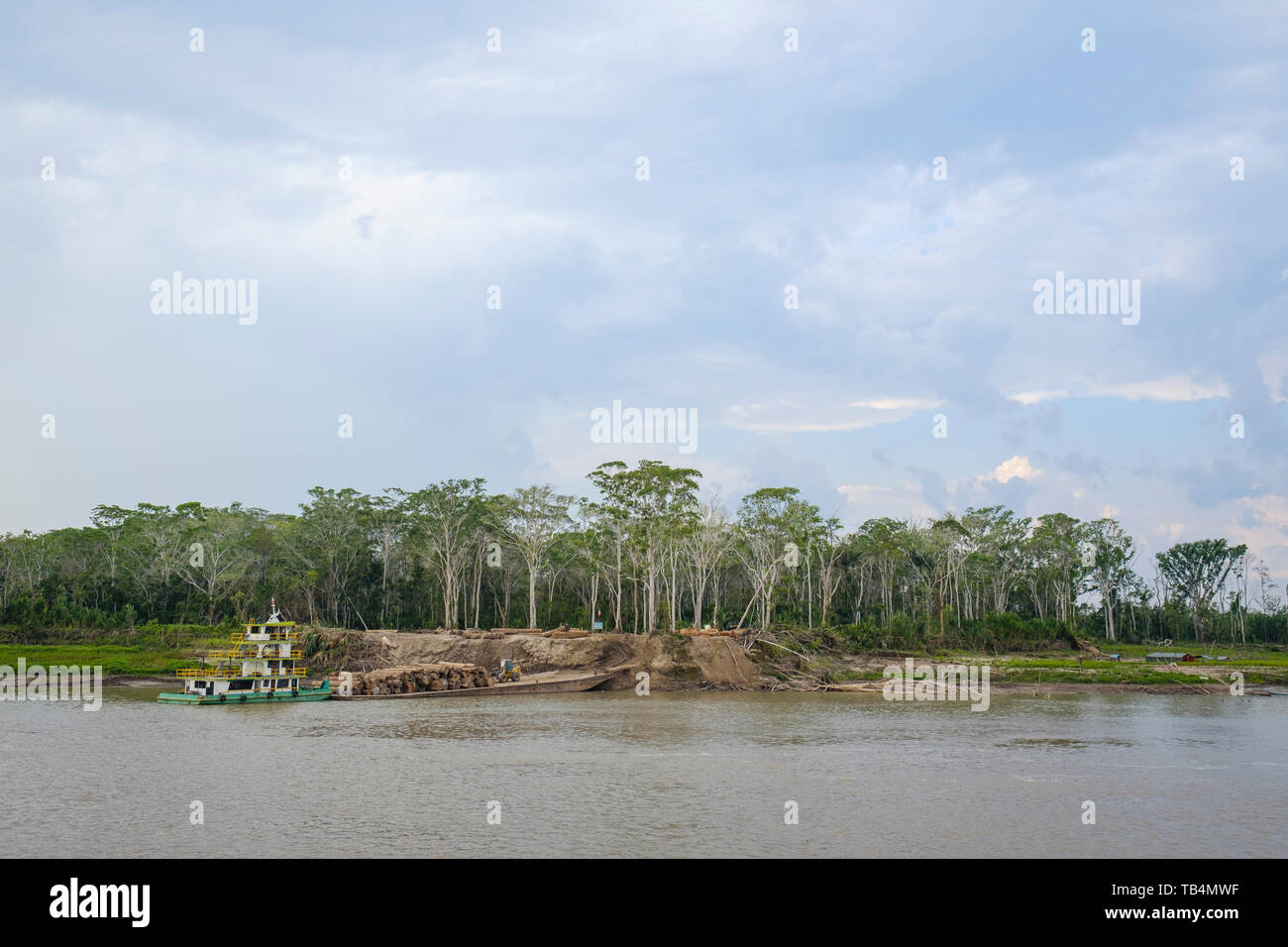 Bateau de journalisation sur le fleuve Ucayali, bassin amazonien du ...