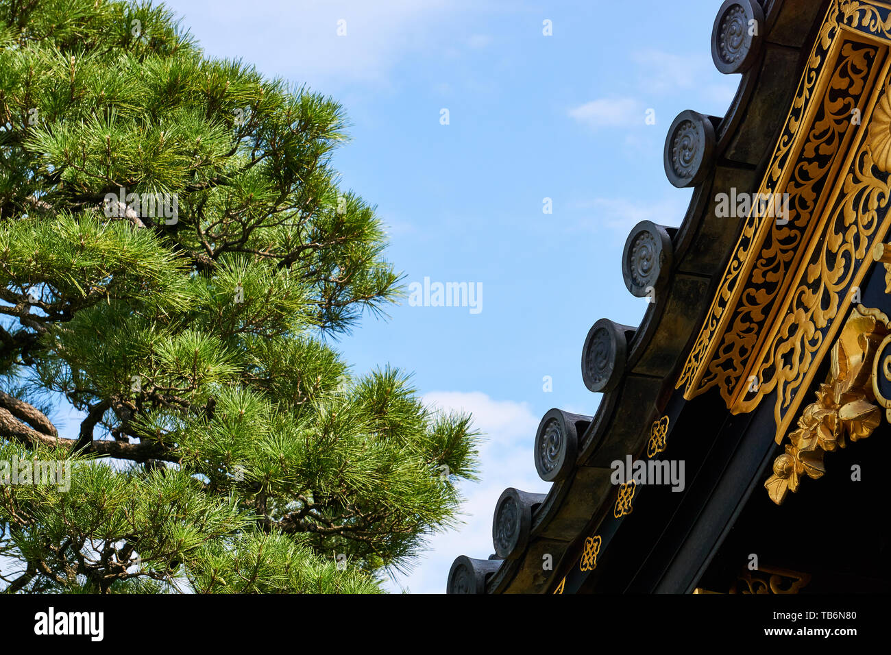 Toit et Matsu à pine tree Ninomaru Palace, Château de Nijō, un ...