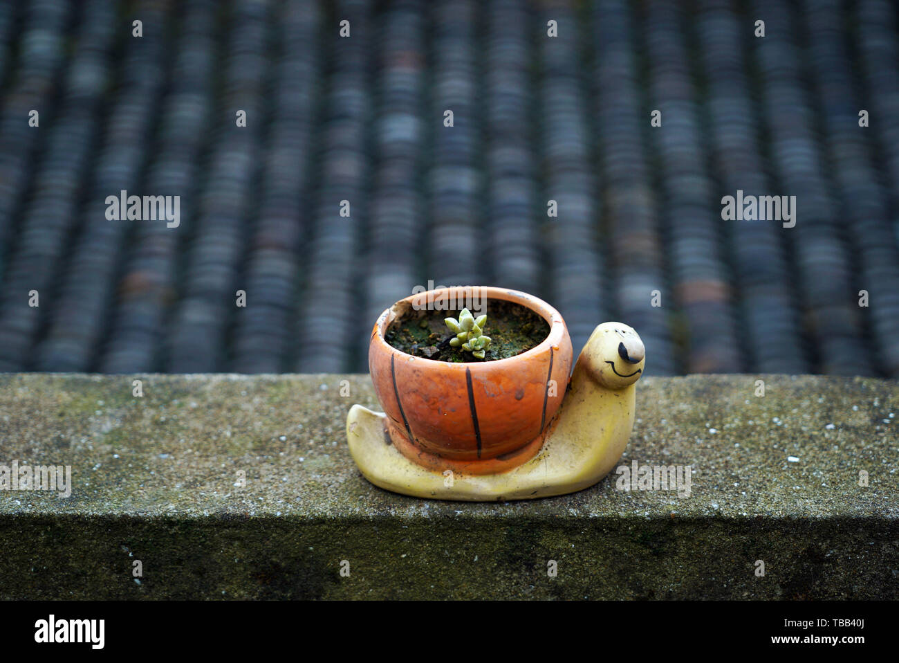 Le titre est : Jiangnan ? Même si vous portez un lourd fardeau, vous ...