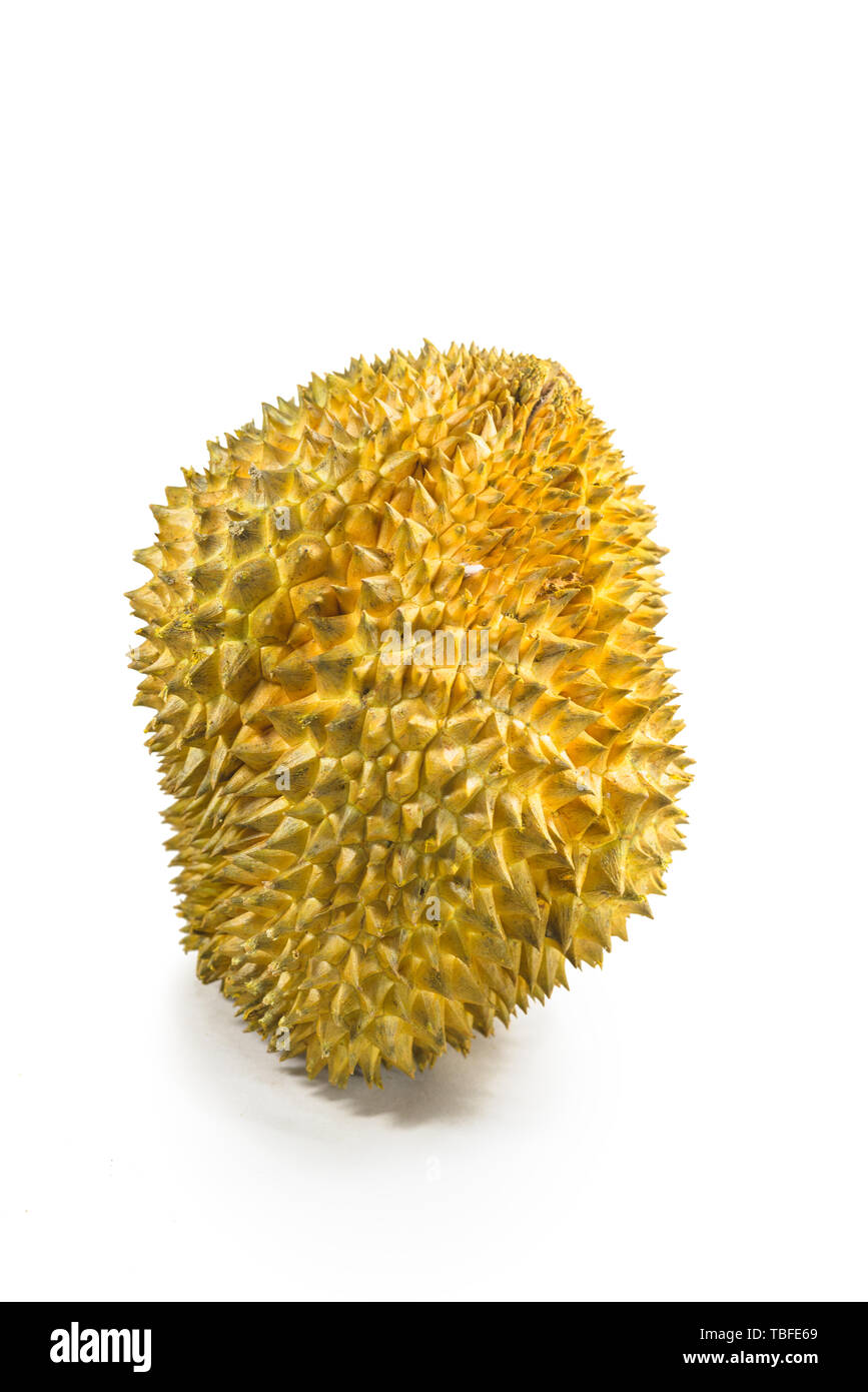 Graines de durian Banque de photographies et d’images à haute ...