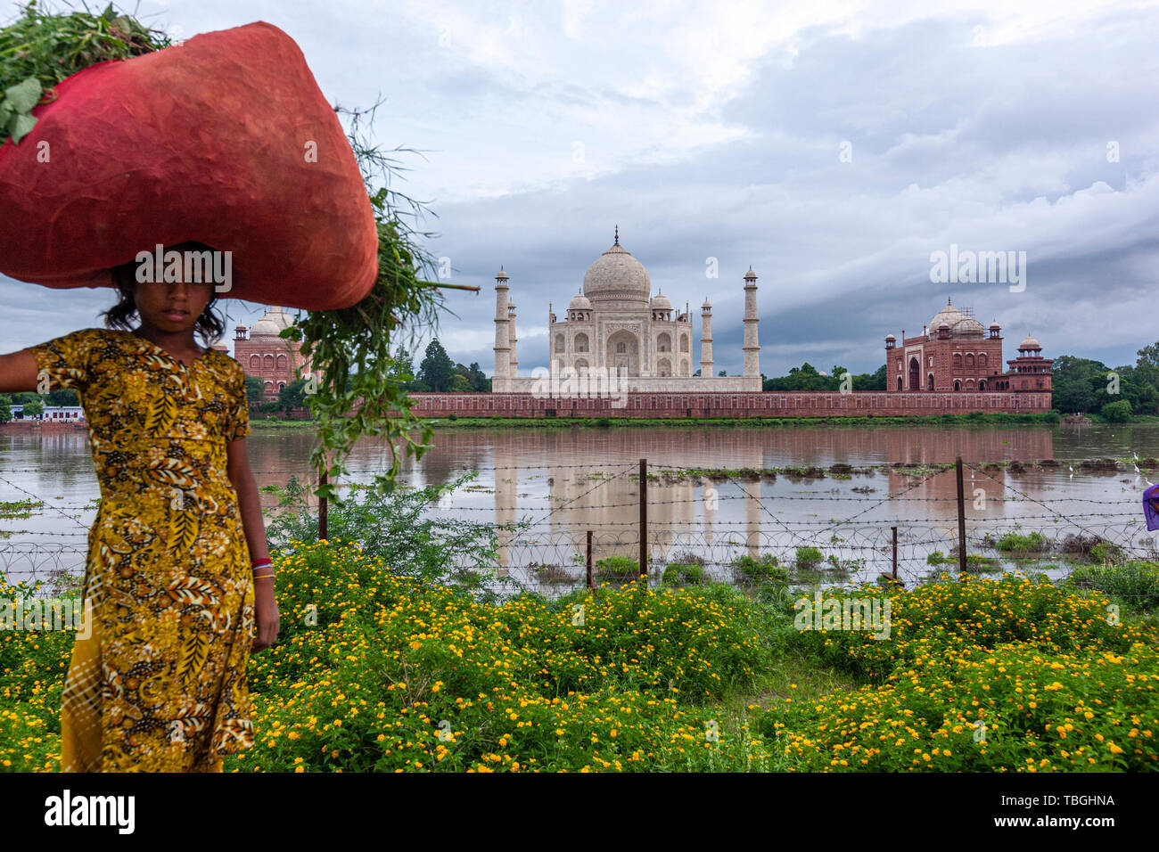 Indian girl taj mahal unesco Banque de photographies et d’images à ...