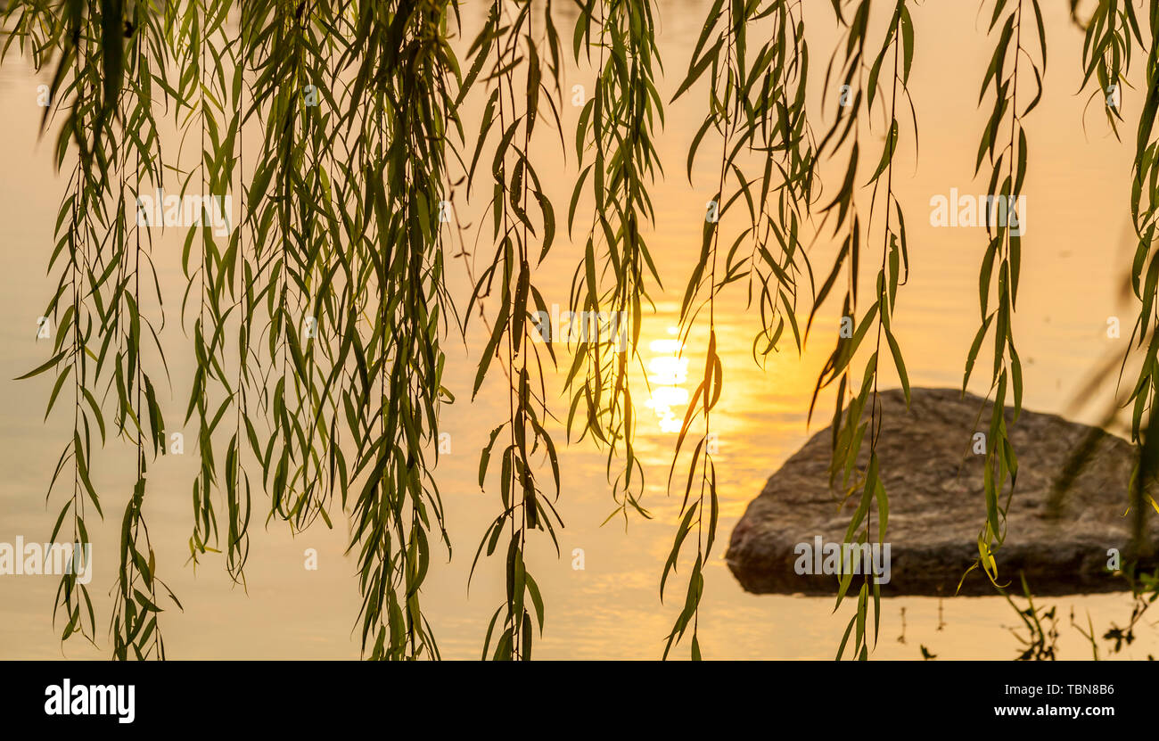 Parc du lac chengdu jincheng Banque de photographies et d’images à ...