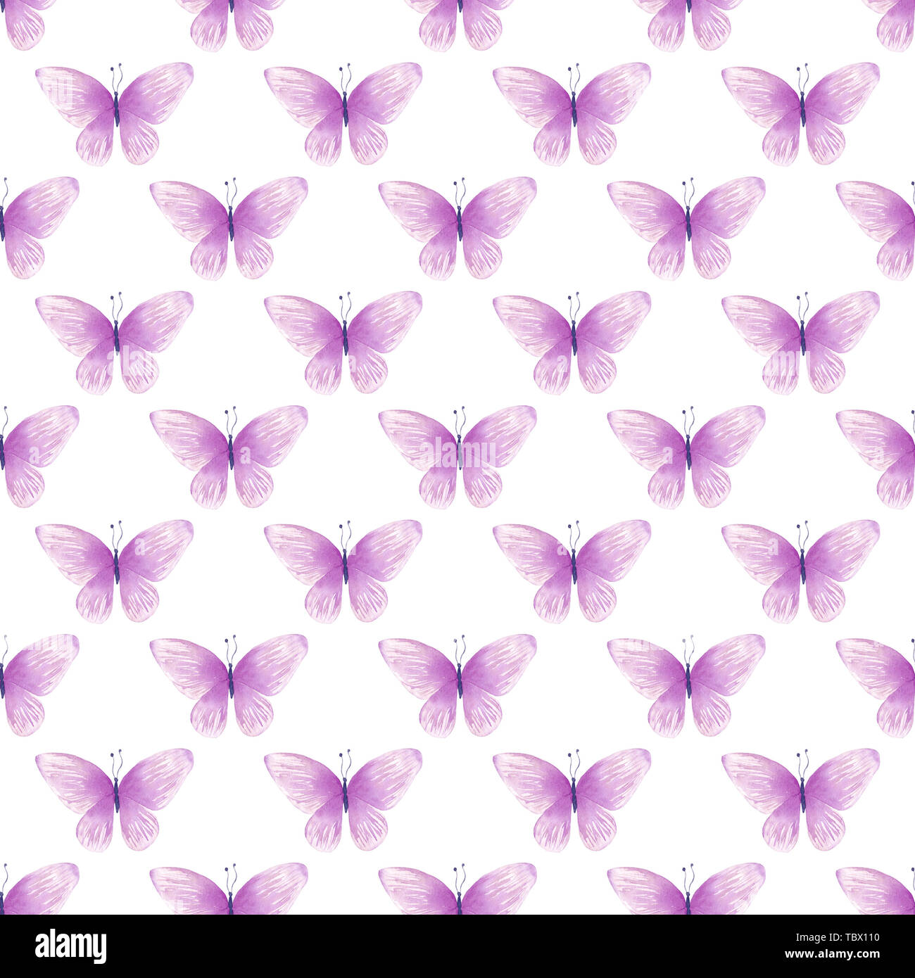 Papillon violet pâle aquarelle transparente motif. Belle illustration ...