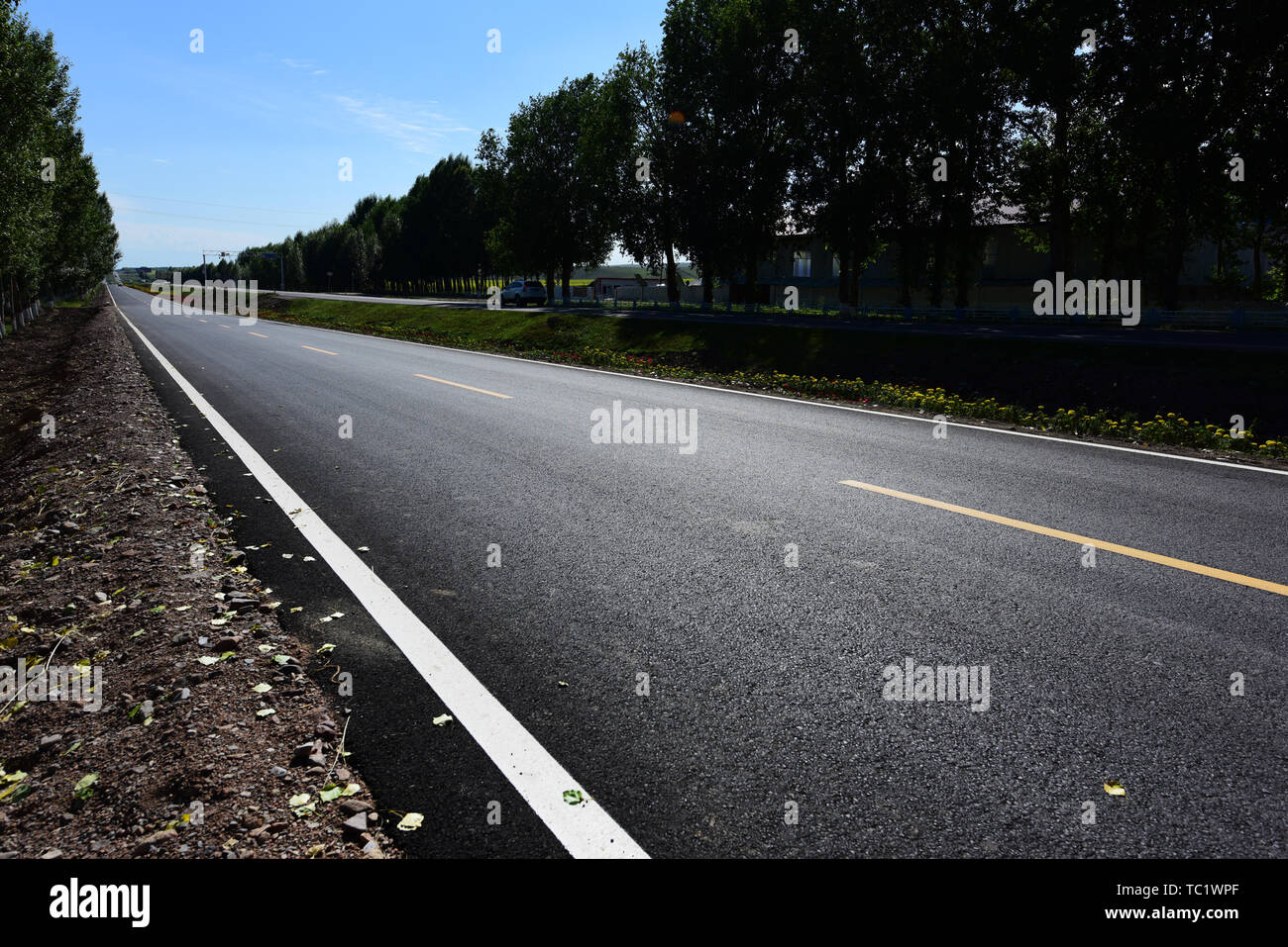 Guide de l'asphalte, la route, l'autoroute et la rue, pas de système de ...