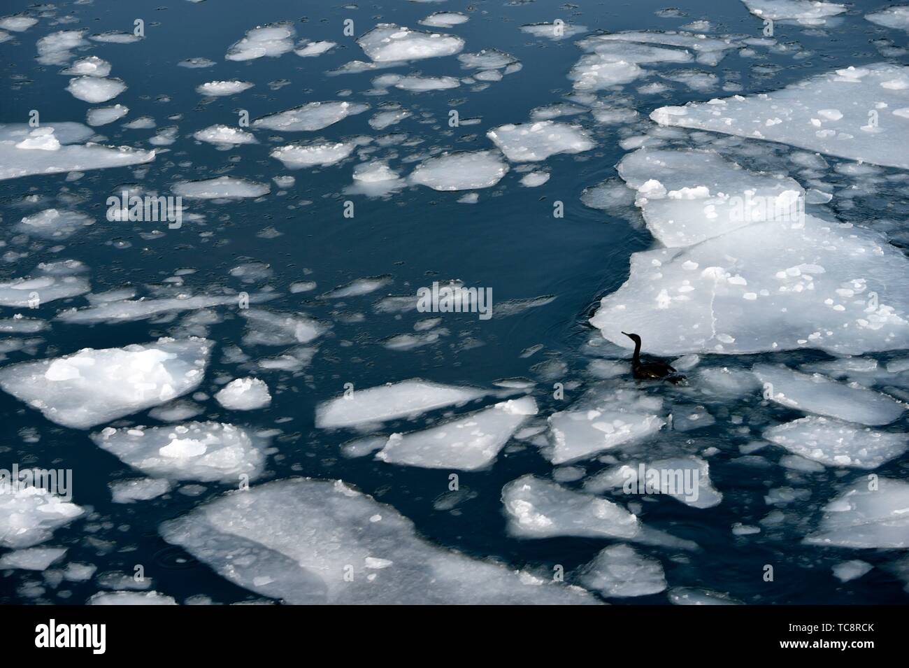 Okhotsk sea Banque de photographies et d’images à haute résolution - Alamy